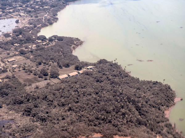 Impact de l’éruption du Hunga Tonga-Hunga Ha’apai sur les coraux et sur ...