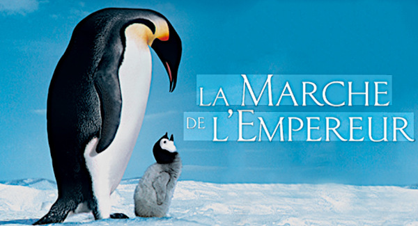 Antarctique : La triste marche de l’Empereur // Antarctica : The ...